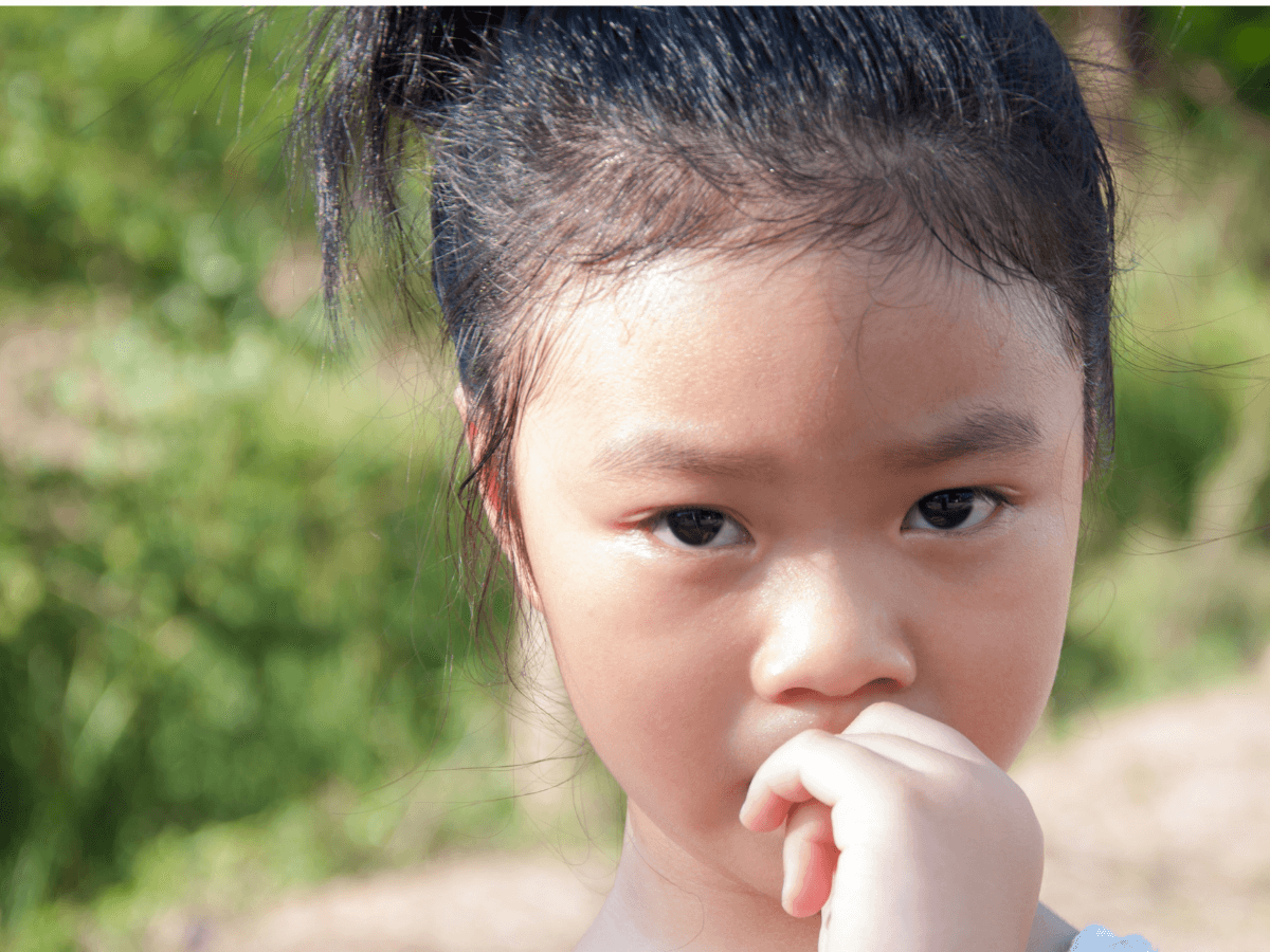 Collections#N# – Sensory Street